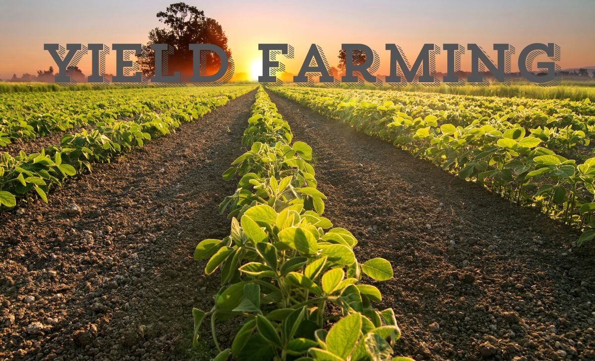 Yield Farming: Everything you need to know about Yield Farming