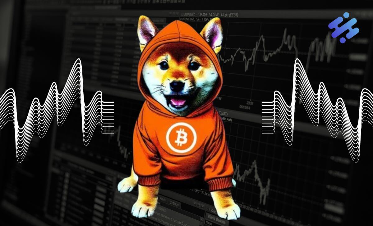 Review DOG (Runes): Information, History and Analysis - AZCoin