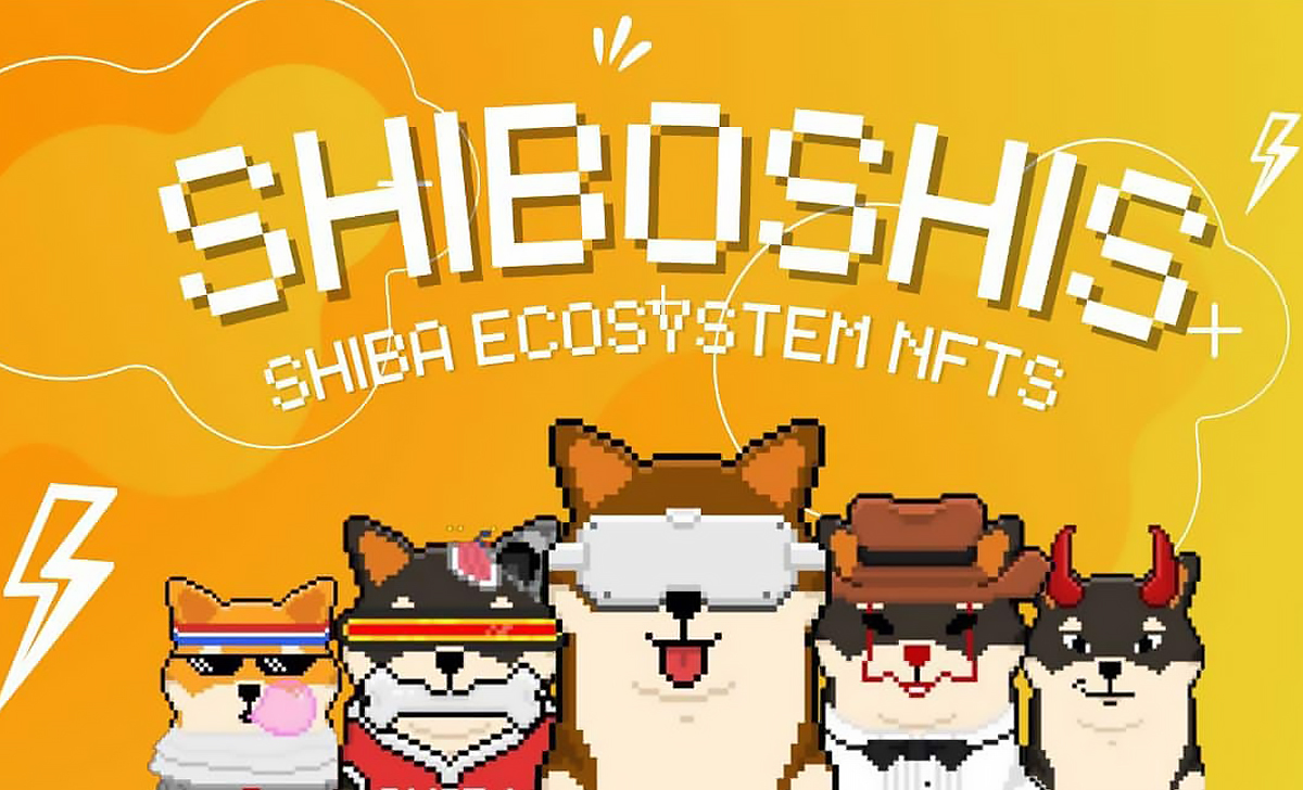 What is Shiboshis? All you need to know